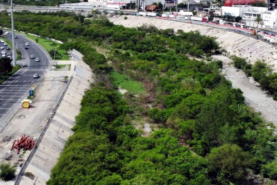 Reverdece El Río Santa Catarina